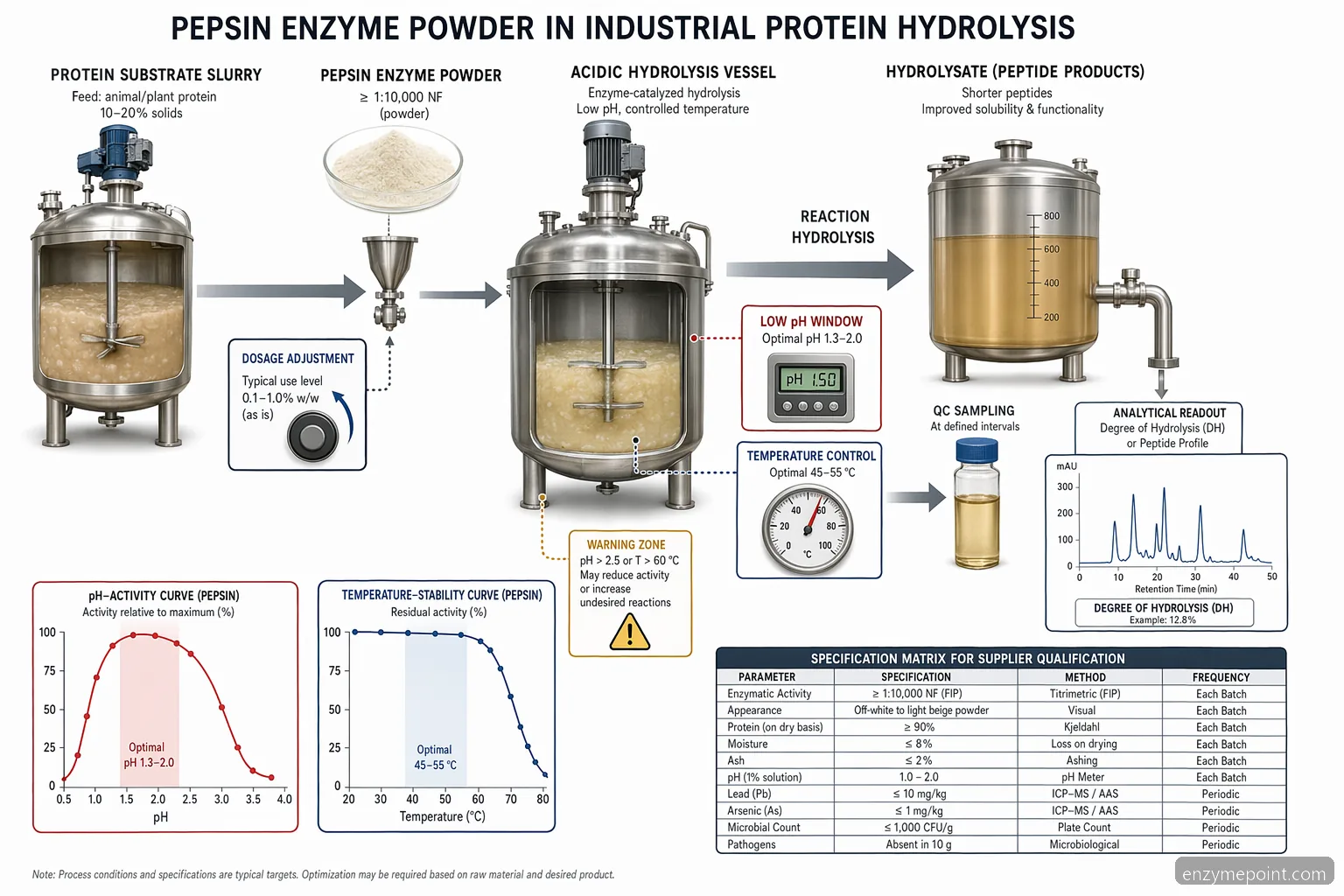 Pepsin Enzyme Powder: Dosage, pH & Temperature